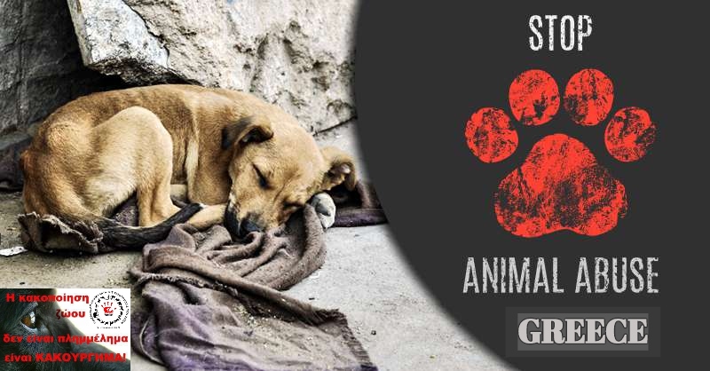 Αρχική - ΠΑΝΕΛΛΑΔΙΚΟ ΚΙΝΗΜΑ ΚΑΤΑ ΤΗΣ ΚΑΚΟΠΟΙΗΣΗΣ ΤΩΝ ΖΩΩΝ
